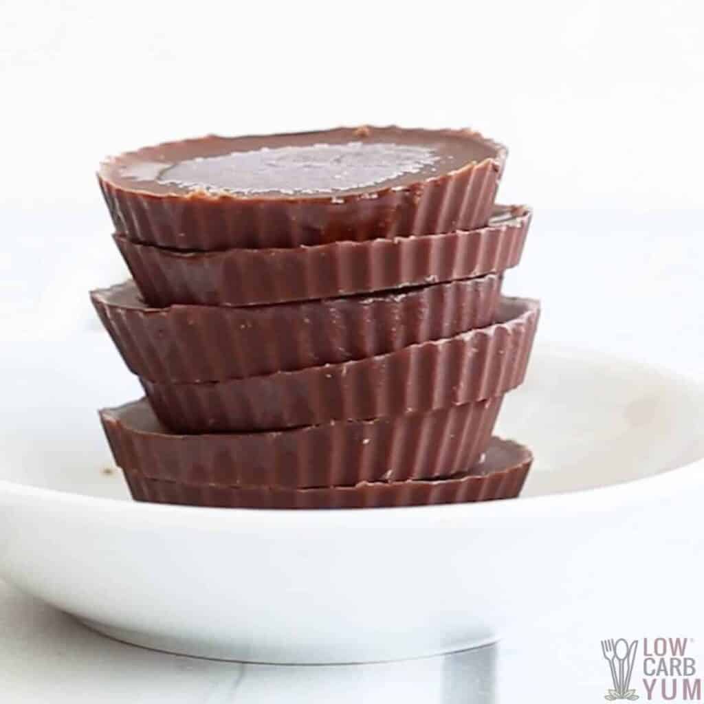 Chocolate Peanut Butter Fat Bombs (5-Ingredients) - Low Carb Yum
