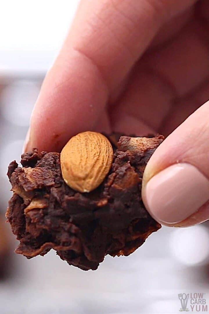 Keto Coconut Chocolate Candy Recipe - Low Carb Yum