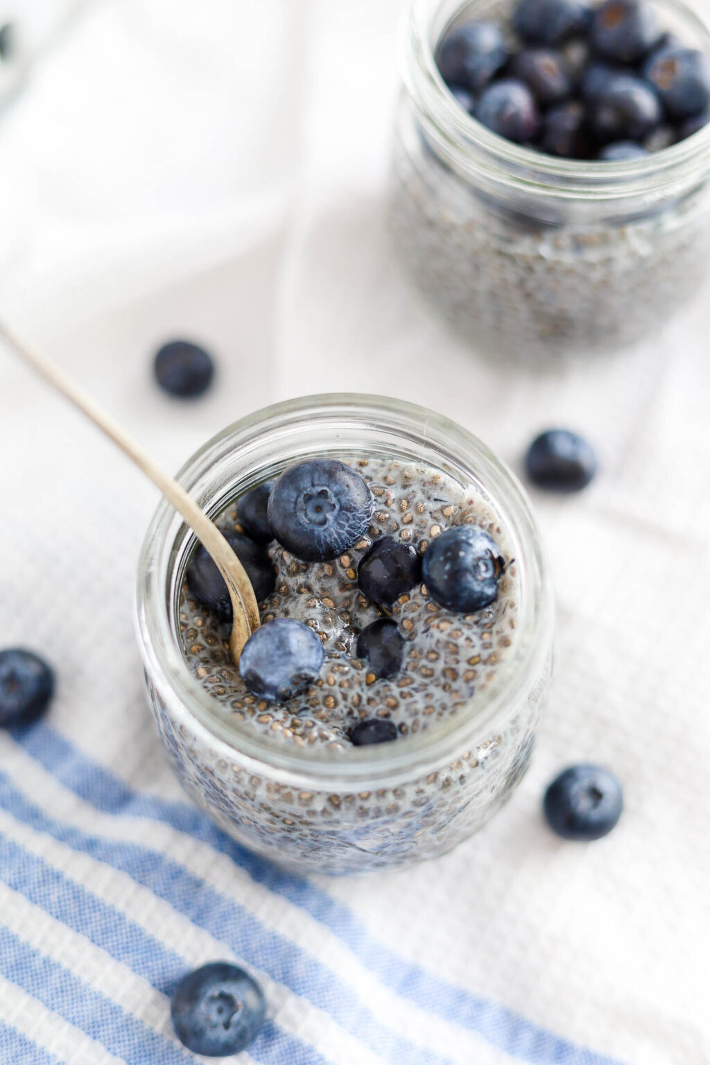 Blueberry Chia Pudding Recipe – Keto, Vegan, & Delicious