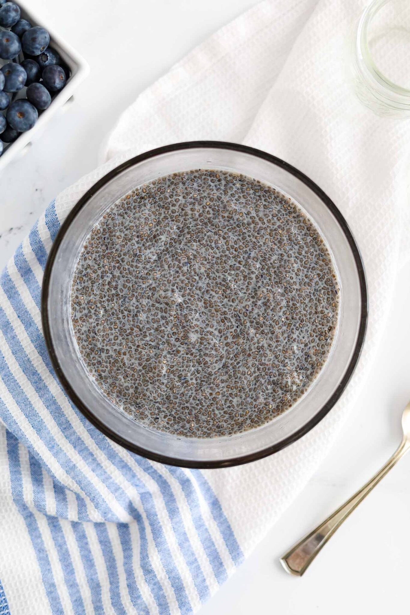 Blueberry Chia Pudding Recipe – Keto, Vegan, & Delicious